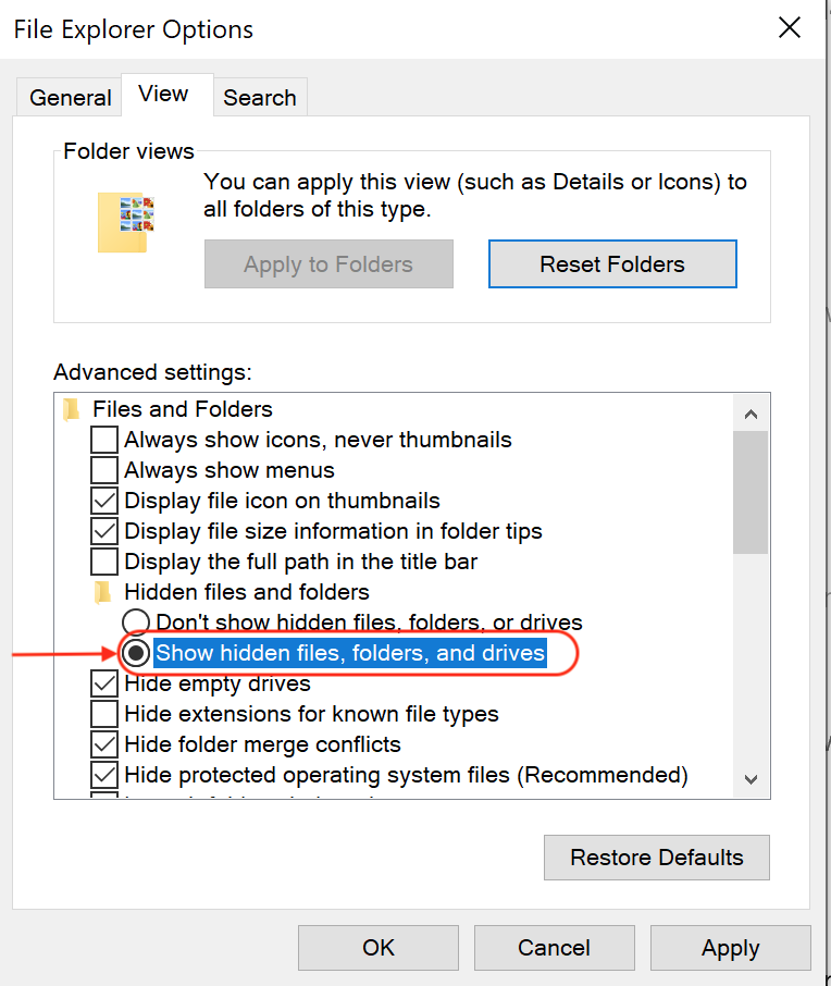 How To Show Hidden Files in Windows 10