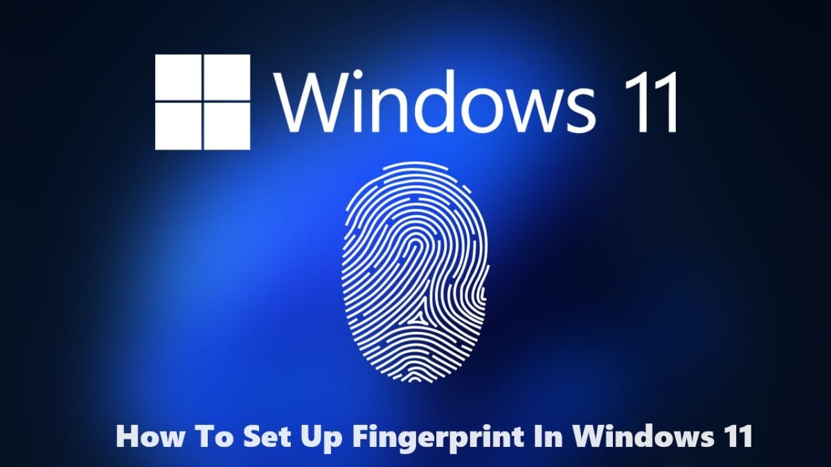 How To Set Up Fingerprint In Windows 11